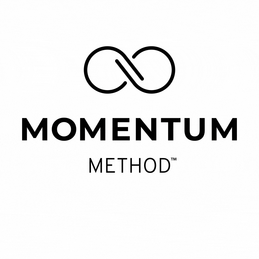 Momentum Method | Vertech